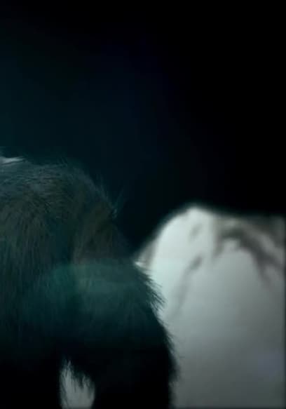 Watch Alaska Monsters S01:E01 - Central Alaska's Big - Free TV Shows | Tubi