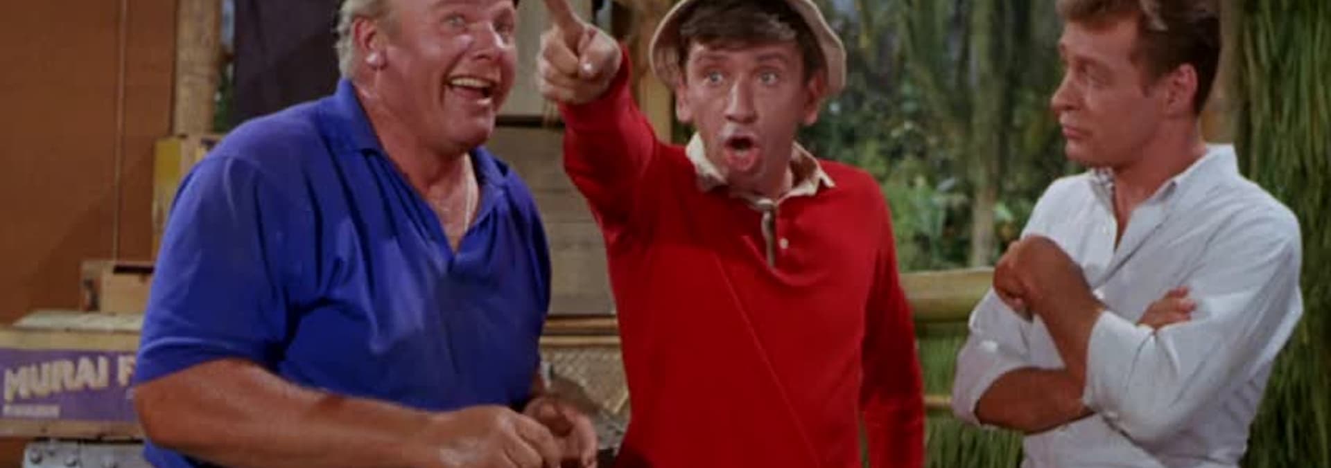 Watch Gilligan's Island S02:E01 - Gilligan's Mother-in-Law - Free TV ...