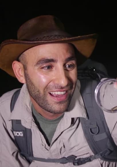 Watch Brave Wilderness S03:E02 - Stung by a Bullet A - Free TV Shows | Tubi