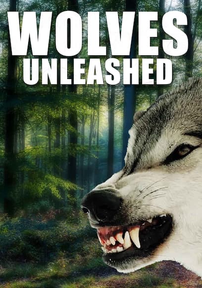 Watch Wolves Unleashed (2011) - Free Movies | Tubi