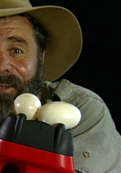 Watch Killer Instinct with Rob Bredl S01:E13 - Crocodiles: Built to ...