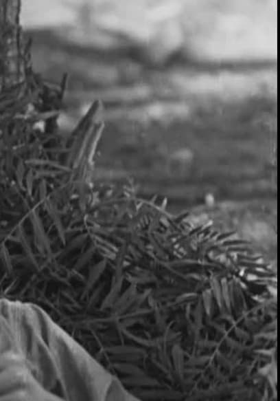 Watch The Little Rascals Best of Our Gang (In Color) S01:E13 - Lazy ...