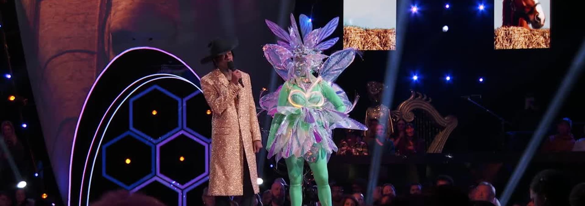 Watch The Masked Singer S09:E06 - Country Night - Free TV Shows | Tubi