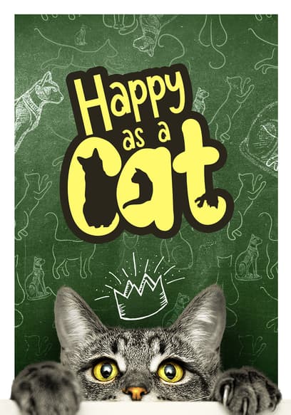 Watch Happy as a Cat (2020) - Free Movies | Tubi