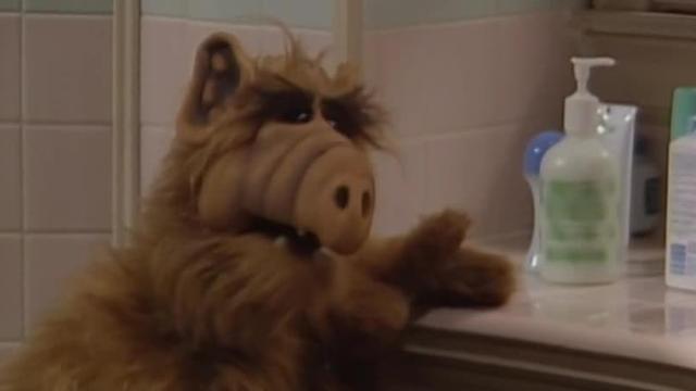 Watch ALF on ALF S01:E01 - A.L.F. - Free TV Shows | Tubi