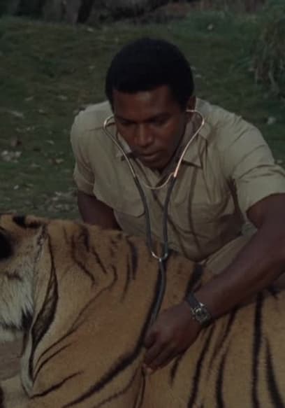 Watch Daktari S02:E12 - Cry for Help - Free TV Shows | Tubi