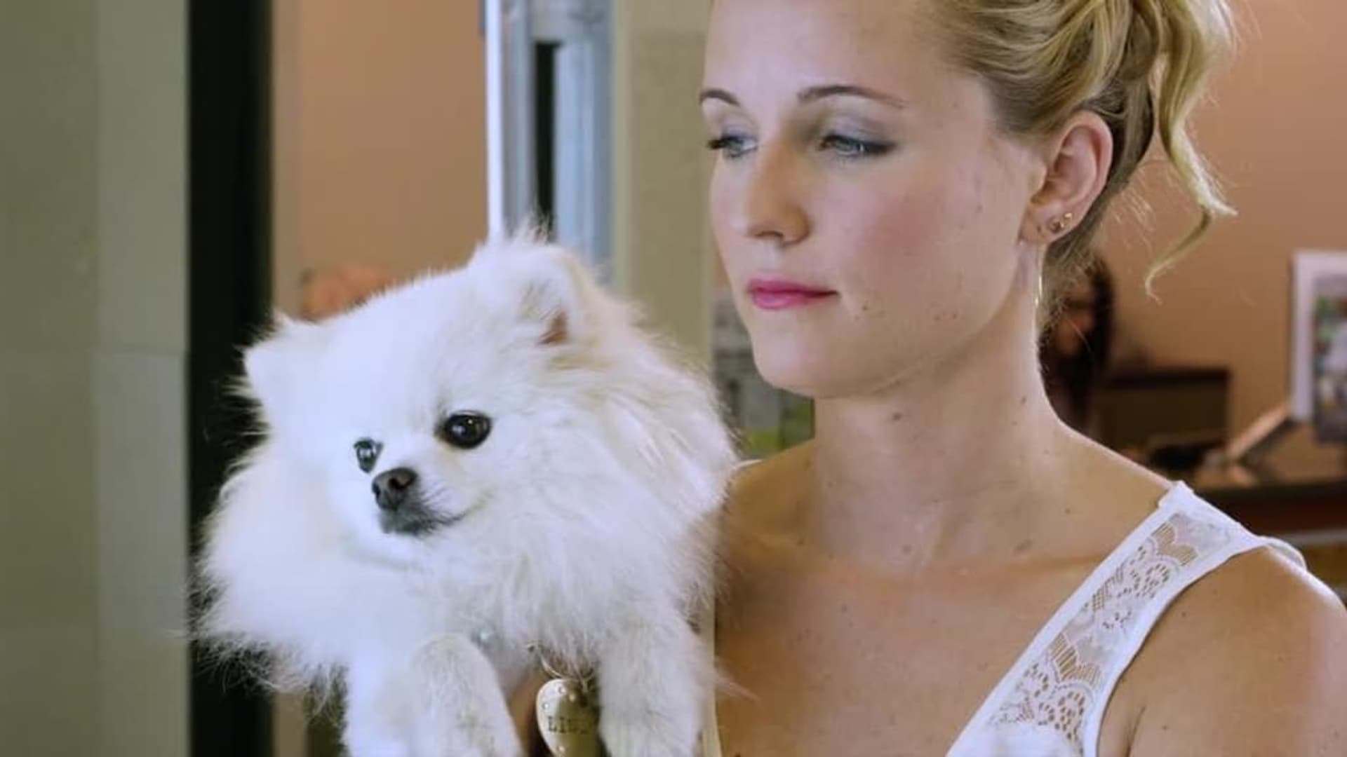Watch Puppy Swap: Love Unleashed (2019) - Free Movies | Tubi