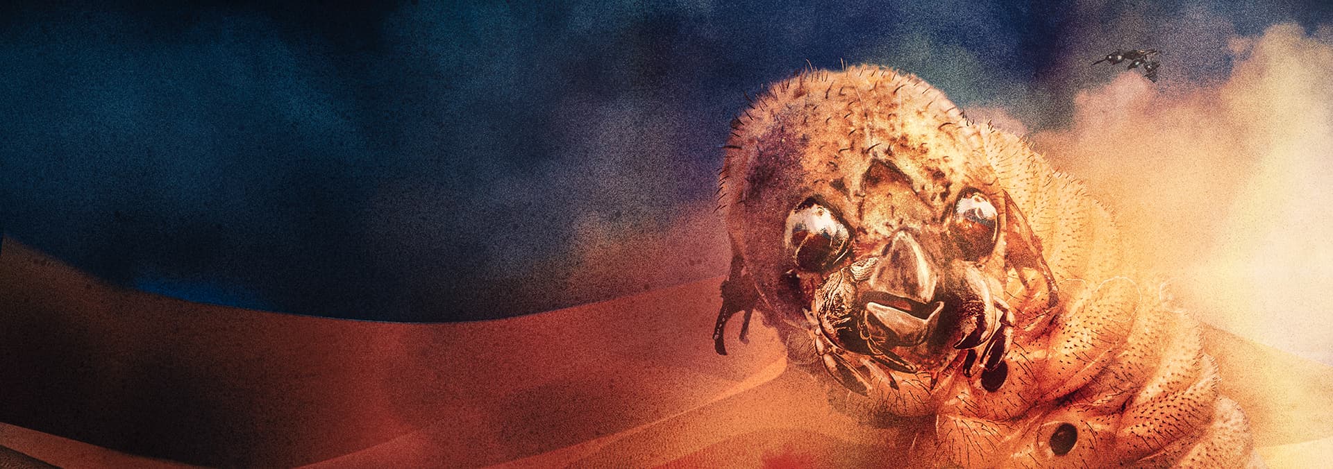 Watch Sand World (2021) - Free Movies | Tubi