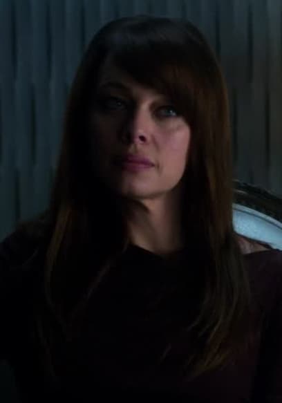 Watch Nikita S02:E13 - Clean Sweep - Free TV Shows | Tubi