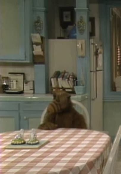 Watch ALF S02:E05 - Prime Time - Free TV Shows | Tubi