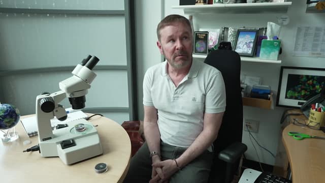 Watch TMZ Presents: UFO Revolution - Free TV Shows | Tubi