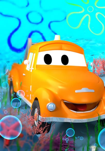 Watch Tom's Paint Shop S01:E11 - Steve Is Spong Bob - Free TV Shows | Tubi