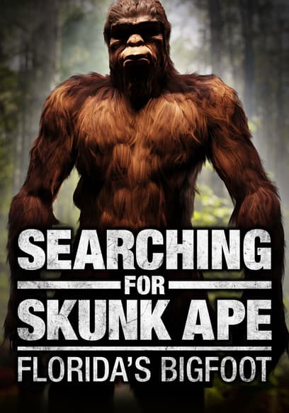 Watch Searching for Skunk Ape: Florida's Bigfoot (2023 - Free Movies | Tubi