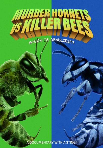 Watch Murder Hornets vs Killer Bees (2020) - Free Movies | Tubi