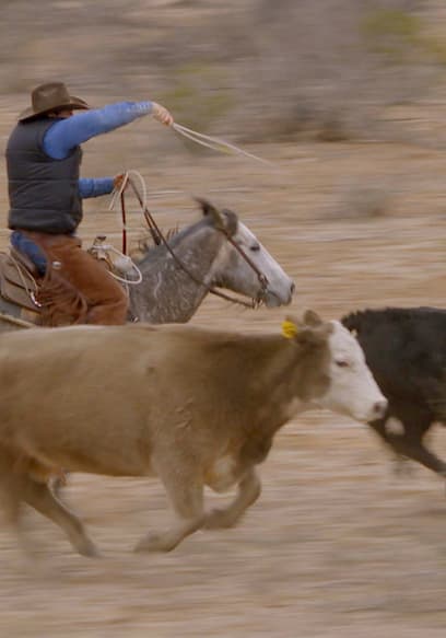 Watch Ultimate Cowboy Showdown S04:E10 - The Ultimat - Free TV Shows | Tubi