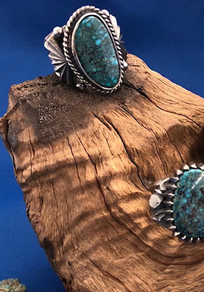 Watch Turquoise Fever S01:E101 - White Buffalo - Free TV Shows | Tubi