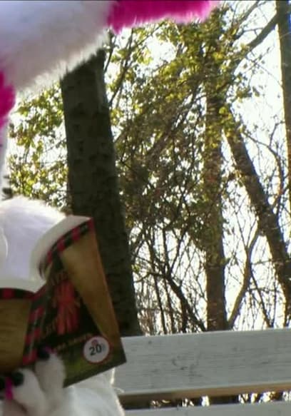 Watch My Strange Addiction S01:E07 - Eats Couch Cushion / Furry - Free ...