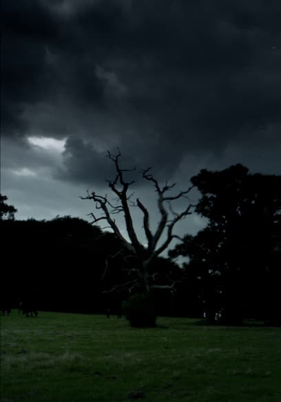 Watch The Colour of Magic S01:E02 - Part 2: The Light Fantastic - Free ...