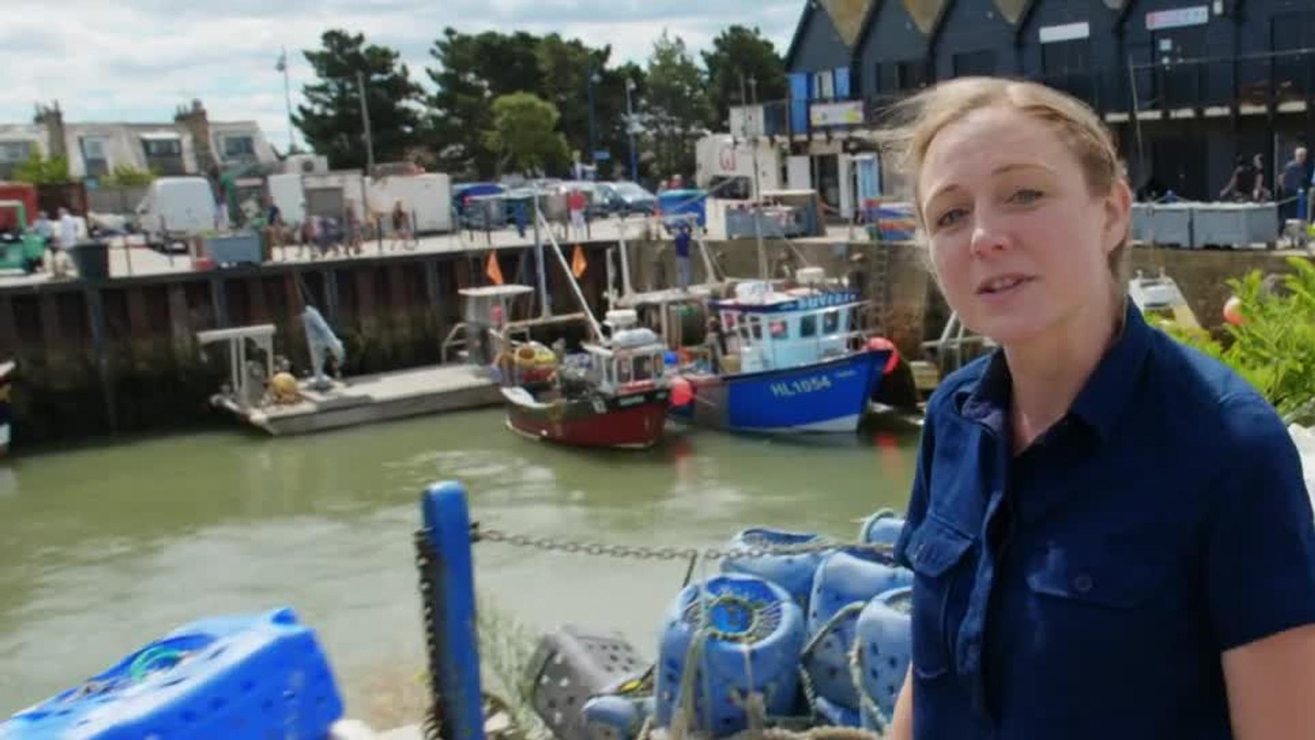 Watch Shoreline Detectives - Free TV Shows | Tubi