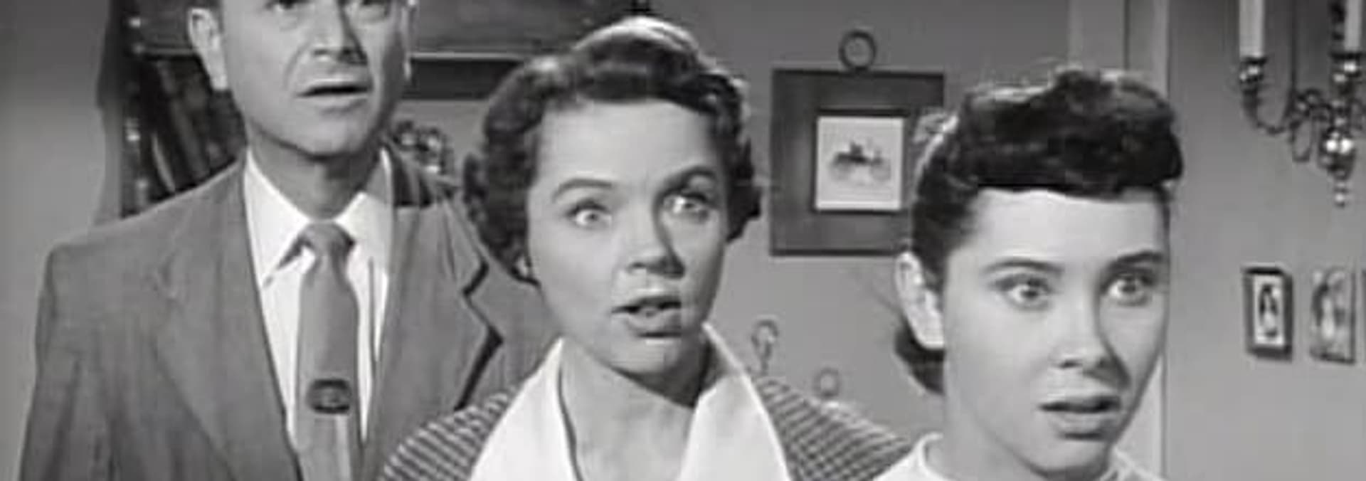 Watch Father Knows Best S02 E29 Bud The Boxer Free Tv Shows Tubi