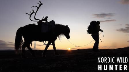 Watch Nordic Wild Hunter - Free TV Shows | Tubi