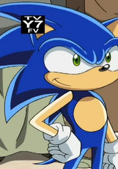 Watch Sonic X S02:E06 - An Enemy in Need - Free TV Shows | Tubi