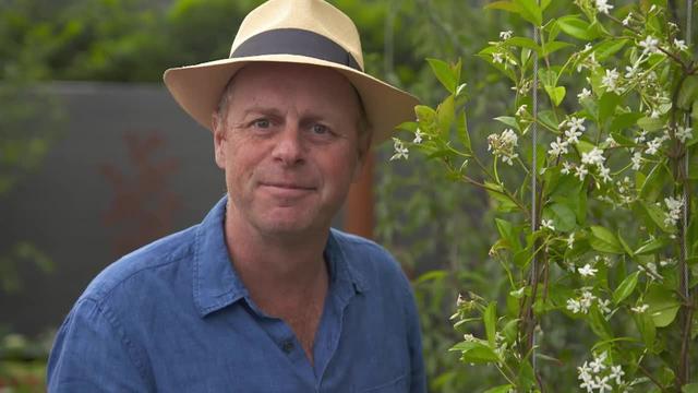 Watch Gardeners' World S08:E08 - Episode 8 - Free TV Shows | Tubi
