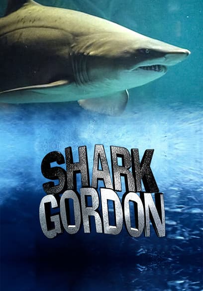Watch Shark Gordon - Free TV Shows | Tubi
