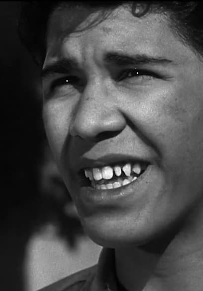 Watch Code 3 S01:E23 - The Nelson Case - Free TV Shows | Tubi