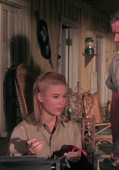 Watch Daktari S03:E13 - Judy and the Wizard - Free TV Shows | Tubi