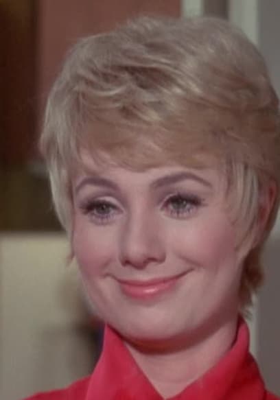 Watch The Partridge Family S01:E06 - Love at First S - Free TV Shows | Tubi