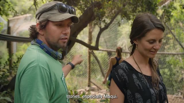 Watch Chile: A Wild Journey - Free TV Shows | Tubi