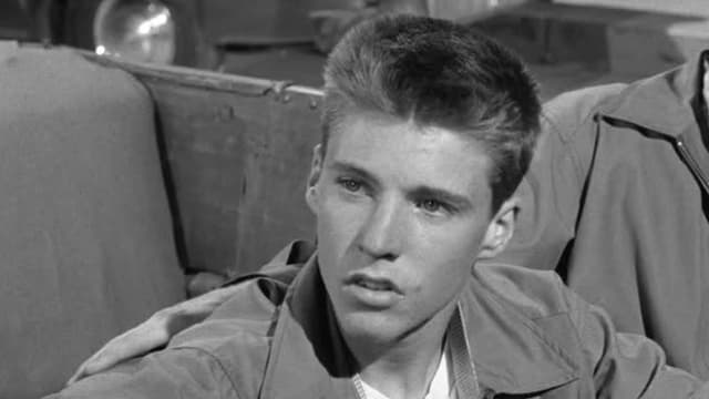 Watch The Adventures of Ozzie and Harriet S04:E16 - The Car Mix-Up ...