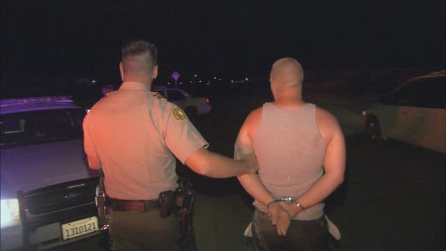 Watch Cops Reloaded S01:E05 - DVD Thievery - Free TV Shows | Tubi