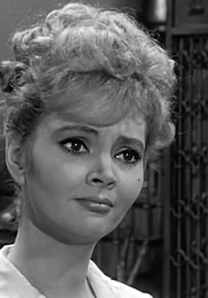 Watch Petticoat Junction S01:E28 - The Hooterville Flivverball - Free ...