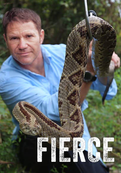 Watch Fierce - Free TV Shows | Tubi