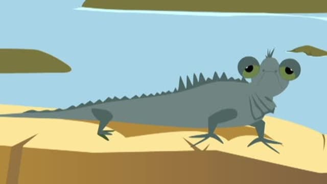 Watch Zoomix (Español) - Free TV Shows | Tubi