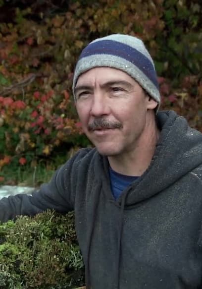 Watch Saw Dogs S01:E06 - Dances With Bears - Free TV Shows | Tubi