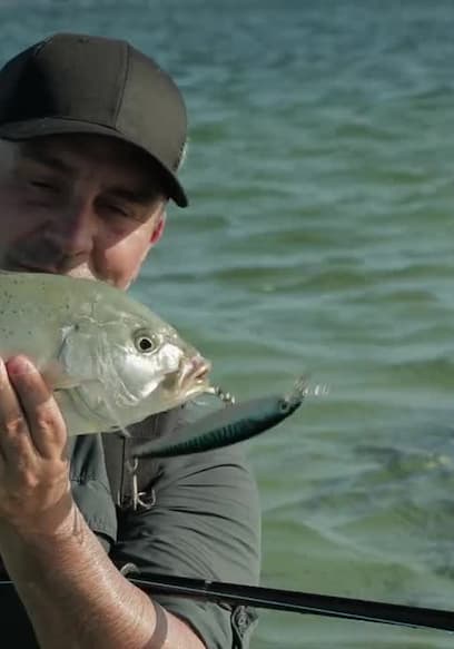 Watch Chasing Monsters S04:E04 - The Reef Ghost - Free TV Shows | Tubi