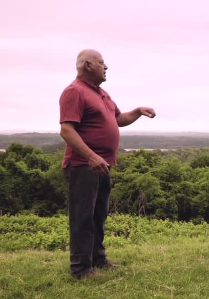 Watch Wine Whoopee With Brandon Anders S01:E01 - Discovering Home - Free TV Shows | Tubi