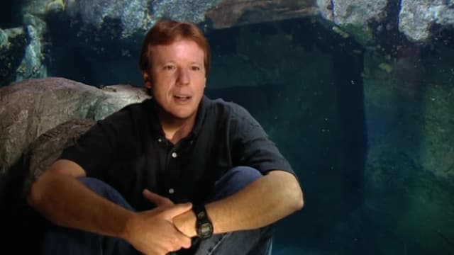 Watch Extinct S01:E04 - Great Auk - Free TV Shows | Tubi