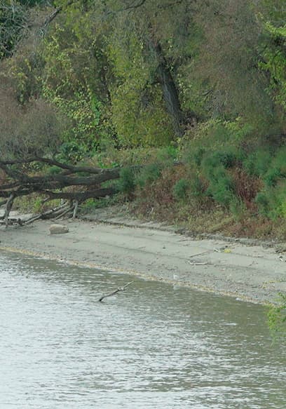 Watch Taken S02:E11 - Felicia Solomon - Free TV Shows | Tubi