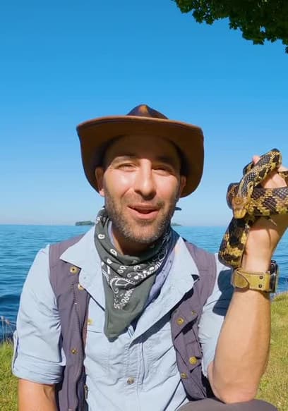 Watch Brave Wilderness S07:E01 - Friendly or Ferocio - Free TV Shows | Tubi