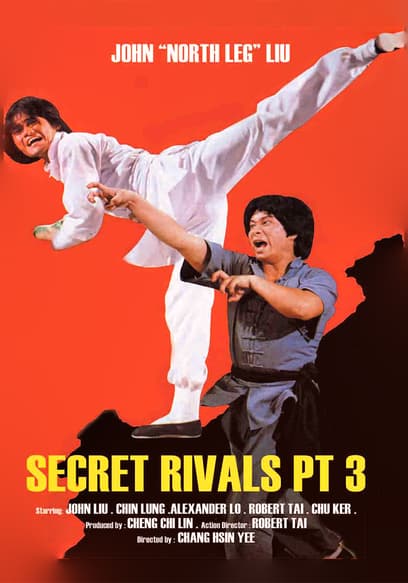 Watch Secret Rivals 3: North Kick and South Hand Blows - Free Movies | Tubi