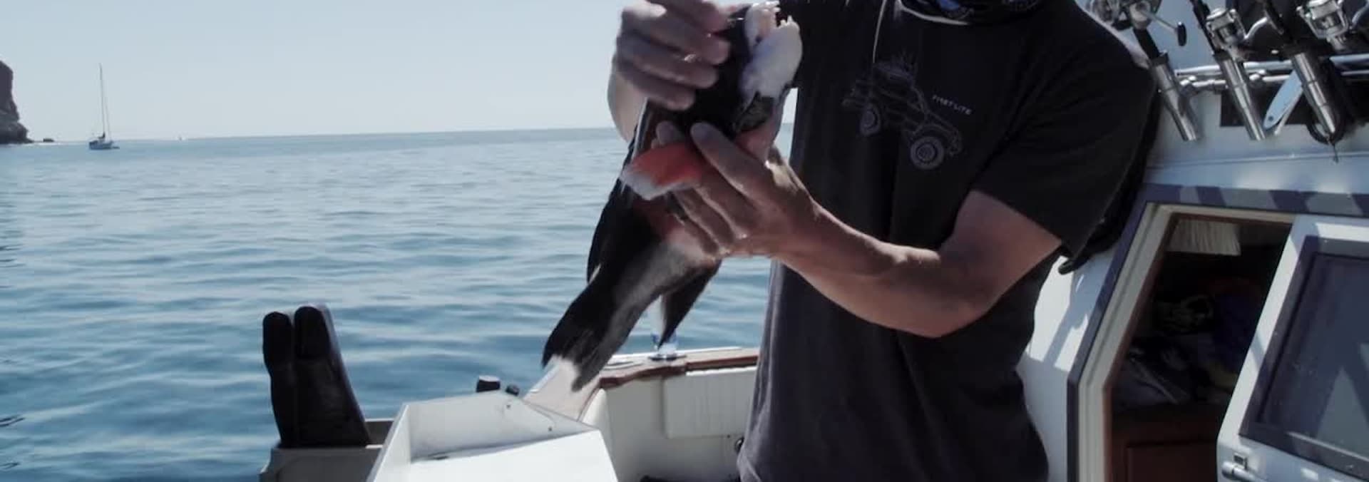 Watch MeatEater Hunts S01:E01 - Spearfishing With Steven Rinella and ...