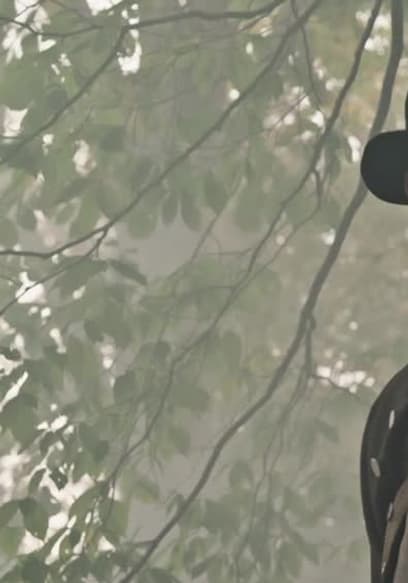 Watch Into the Wild Frontier S03:E07 - William Bartram: America's First ...