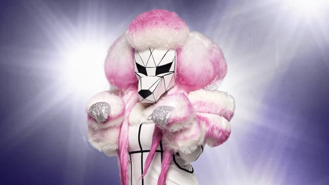 Watch The Masked Singer S01:E01 - Season Premiere: Mask on Face Off ...