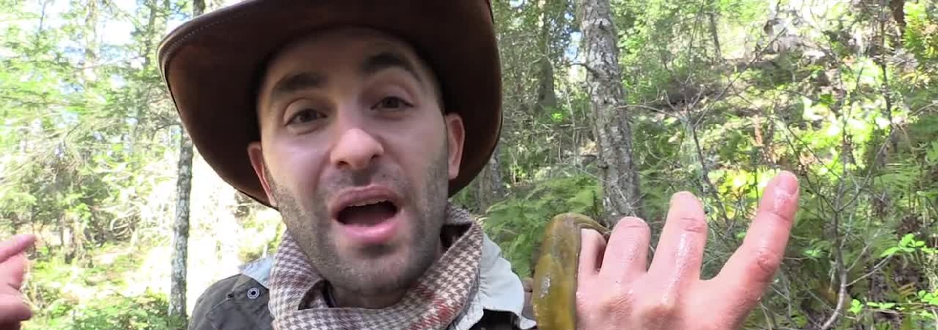 Watch Brave Wilderness S01:E01 - Stung by a Scorpion! - Free TV Shows ...