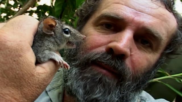 Watch Killer Instinct with Rob Bredl - Free TV Shows | Tubi