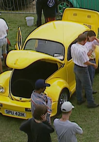 Watch The Beetle Story S01:E04 - Beetle Bash - Free TV Shows | Tubi